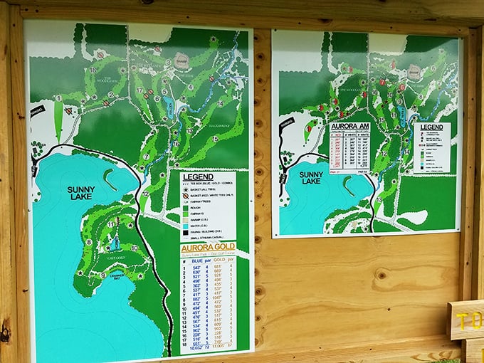 The treasure maps to Aurora's hidden gem—where X marks every spot worth discovering around Sunny Lake's inviting shores.