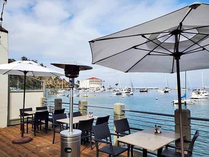 The patio view that makes you wonder why you ever eat indoors. Those boats aren't just scenery—they're your dining companions at Catalina's waterfront gem.