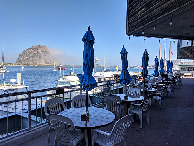 Waterfront dining with Morro Rock views – because great food tastes even better with spectacular natural scenery.