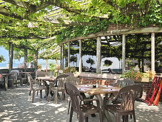 Dappled sunlight filtering through grape vines creates nature's perfect dining canopy—proof that sometimes the best ceiling is no ceiling at all.