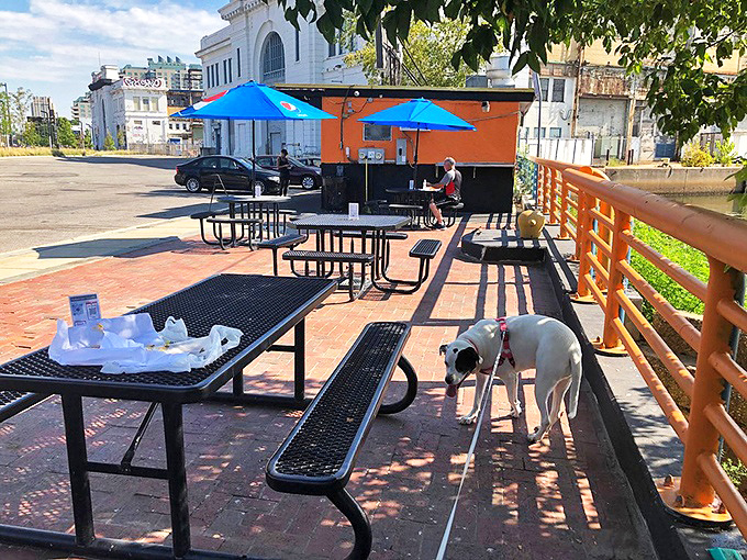 Outdoor picnic tables with a view of the Delaware River—where dogs are welcome and sandwiches taste even better in the sunshine.