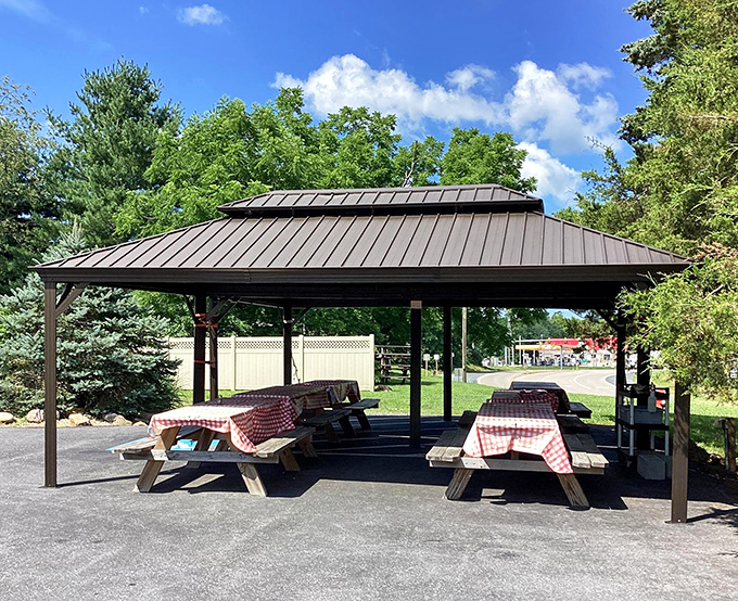 Red-checkered tablecloths under a pavilion roof—because sometimes the only thing better than German food is German food enjoyed outdoors.