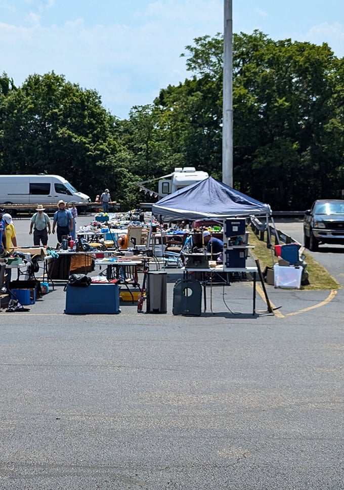 The treasure hunt continues outdoors, where canopy-covered tables offer everything from electronics to furniture under the summer sky.