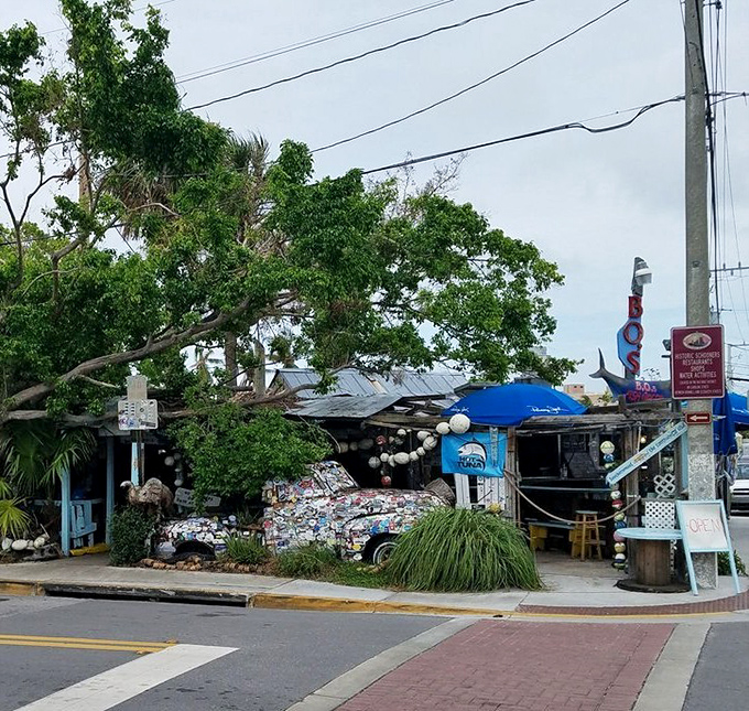 From the street, B.O.'s looks like it might not survive another strong breeze – but locals know it's weathered decades of storms and tourists.