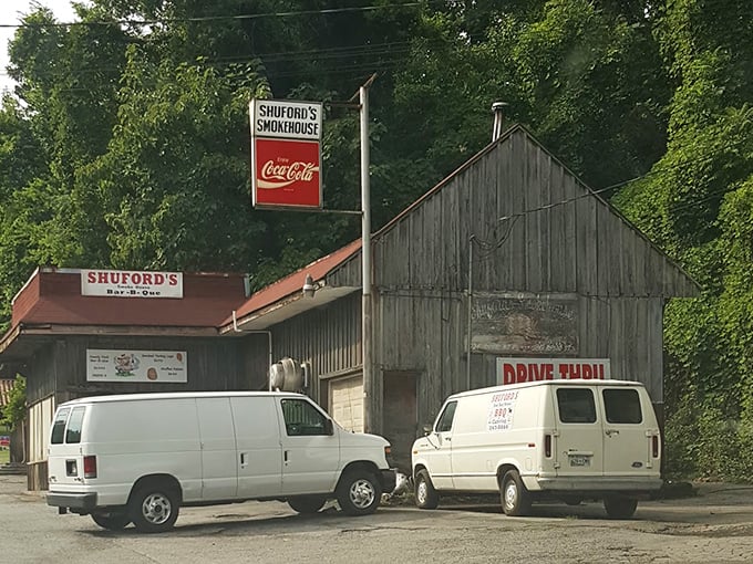 The pilgrimage site for smoke seekers. These vans aren't just parked—they're waiting patiently for their owners to finish one more bite.