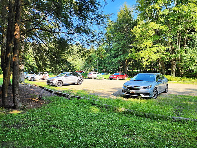 The parking area – where adventures begin and air-conditioned vehicles patiently wait for your return, ready to blast cool air on sunburned shoulders after a day well spent.