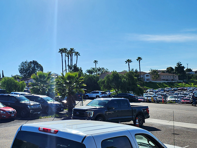 The packed parking lot tells the real story—this isn't just shopping, it's a weekend institution. California sunshine included at no extra charge.