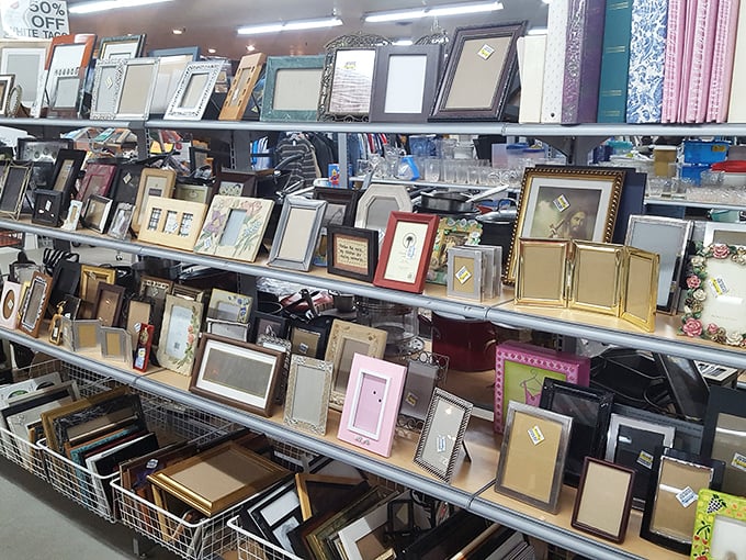 Frame your memories without breaking the bank. This collection ranges from minimalist modern to ornately vintage—something for every photo!