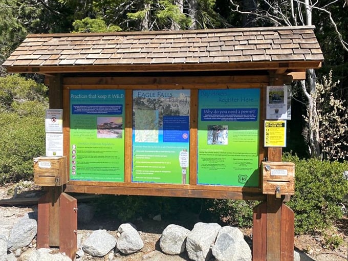 Information boards that actually make you want to read them – who knew learning could be this scenic?
