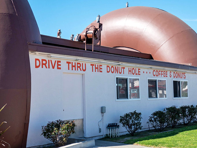 "Drive Thru The Donut Hole"—possibly the most literal and enticing instruction you'll ever follow on a California road trip.
