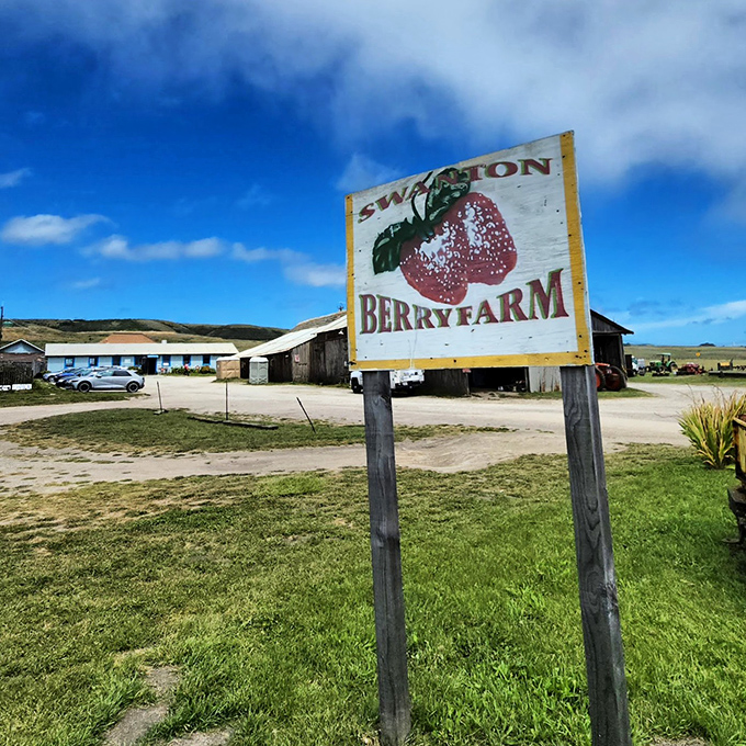 The sign says it all—simple, rustic, and promising delicious things ahead. No fancy marketing needed when your berries speak for themselves.