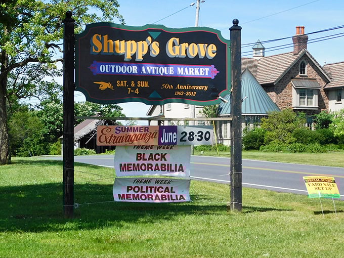 The sign says it all! Themed weekends at Shupp's Grove turn casual browsing into targeted hunting expeditions for collectors with specific passions.