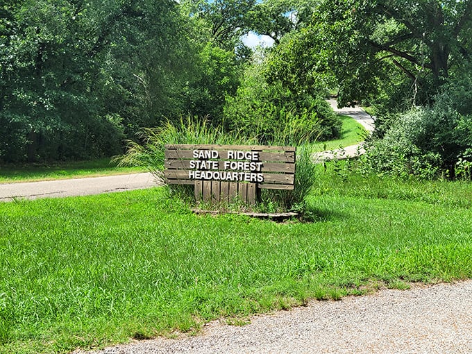 The welcome sign that promises adventure—Sand Ridge headquarters, where Illinois' largest state forest begins its sandy story.