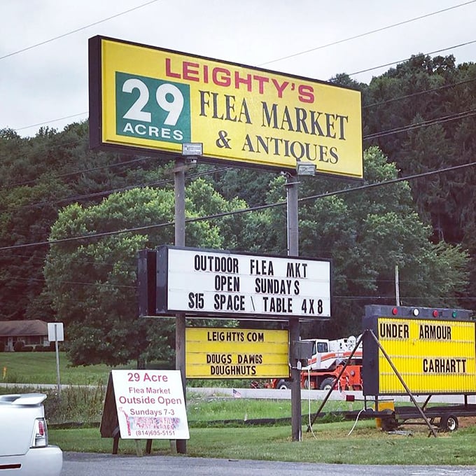 Twenty-nine acres of possibility advertised with charming directness – and the promise of doughnuts, which might be reason enough to visit.