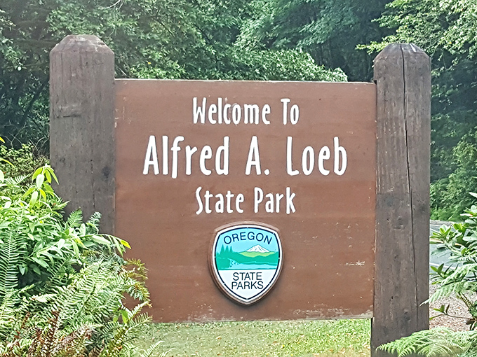 The entrance sign—your portal to paradise. Once you pass this marker, you've officially left the ordinary world behind.