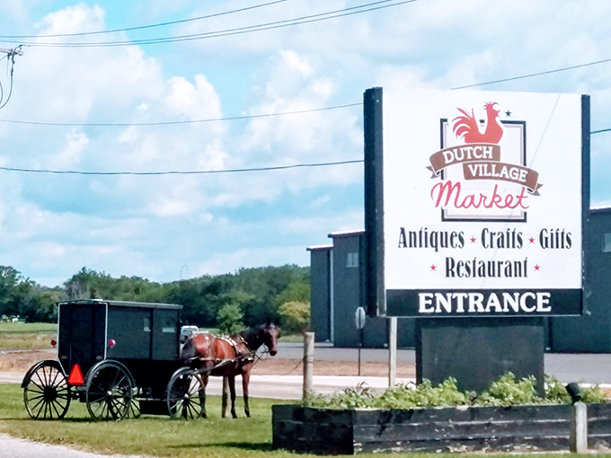 Where Amish buggies and SUVs share parking—a sign you've found authentic food that transcends time. The horse is the original eco-friendly transportation.