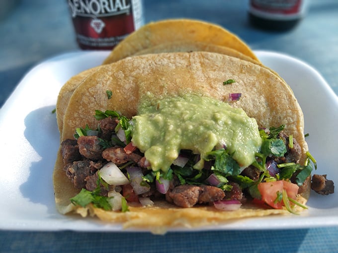 Taco perfection in its natural habitat—handmade tortillas cradle seasoned meat topped with fresh cilantro and creamy avocado.