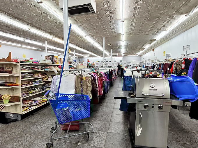 A thrifter's paradise where blue shopping carts navigate between islands of possibility—each aisle a new opportunity to discover something unexpectedly perfect.