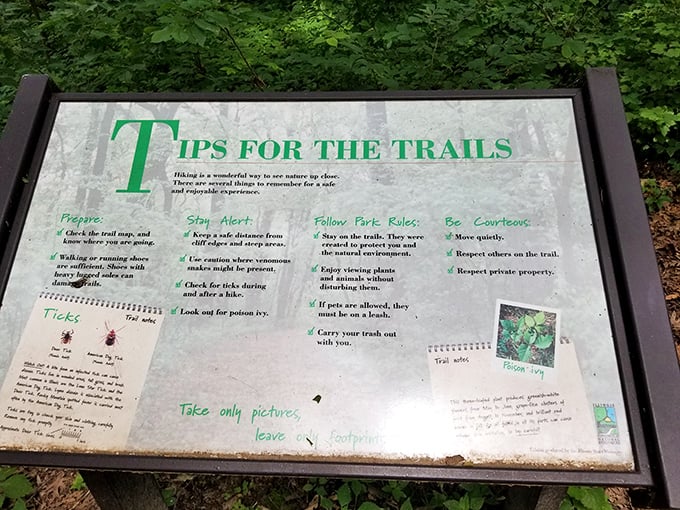 Trail etiquette explained with Midwestern thoroughness—because even in the wilderness, we're still too polite to not tell you where the poison ivy lurks.