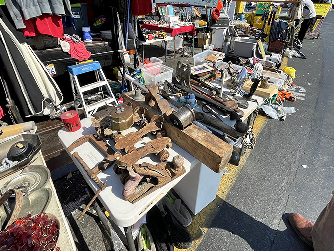 Tool treasure trove where rusty gold awaits the handy shopper—these vintage implements have stories to tell and projects yet to complete. 