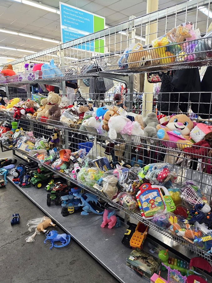 Toy Story, the thrift store edition. These gently-loved playthings are ready for their sequel with a new child and fresh adventures.