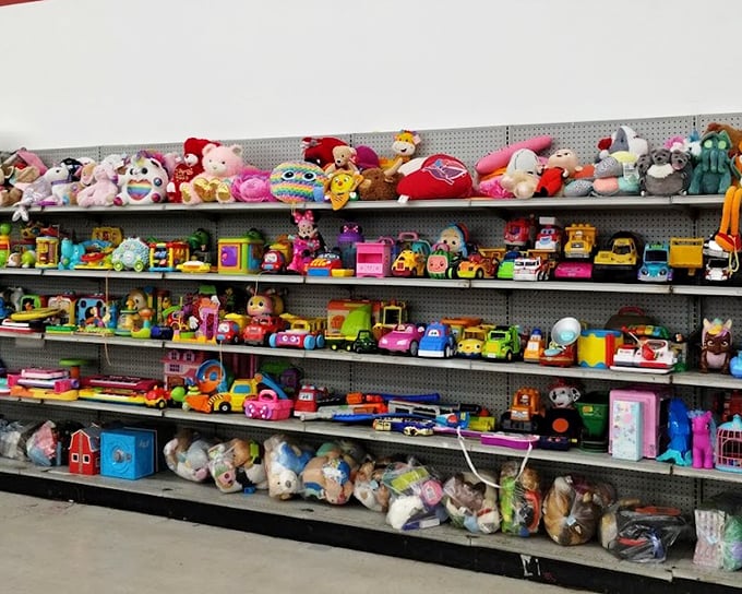 Stuffed animals lined up like colorful sentries, each hoping to be the chosen one who gets to come home and receive unlimited hugs.