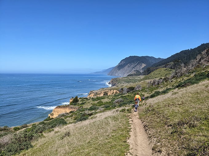 The Lost Coast Trail—where every step forward offers views that make you stop in your tracks. A beautiful contradiction in hiking form.