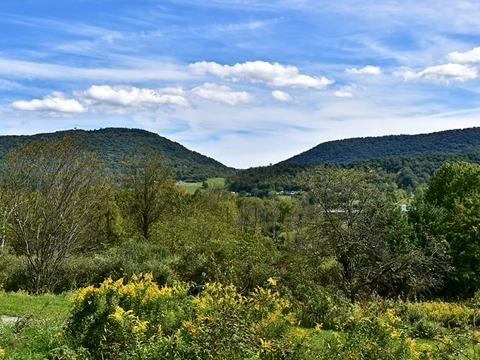 Rolling hills stretch toward the horizon, reminding visitors that Pennsylvania's beauty doesn't need filters—just your undivided attention for a moment.