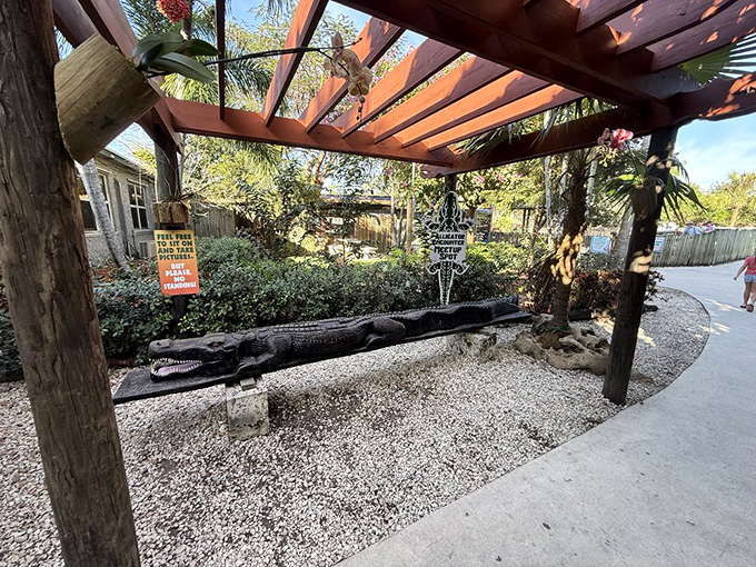 Pristine facilities prove that even prehistoric predators deserve five-star accommodations in their Florida retirement community.