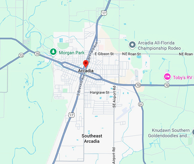 16. arcadia map