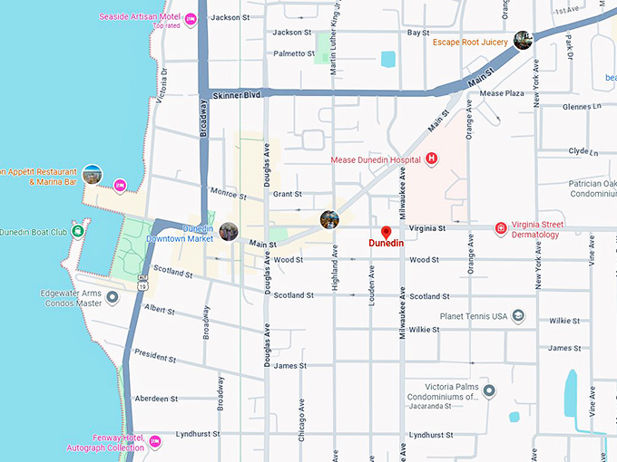 16. dunedin fl map