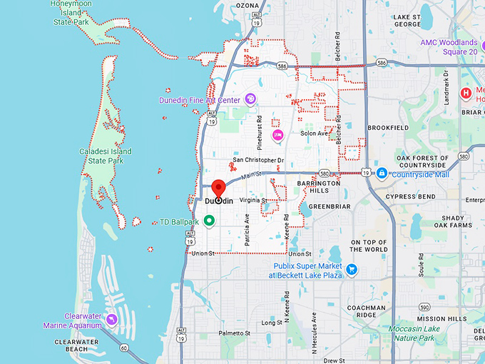 16. dunedin map