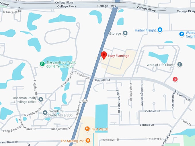 16. lazy flamingo map