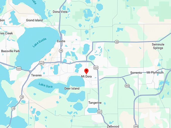 16. mount dora fl map