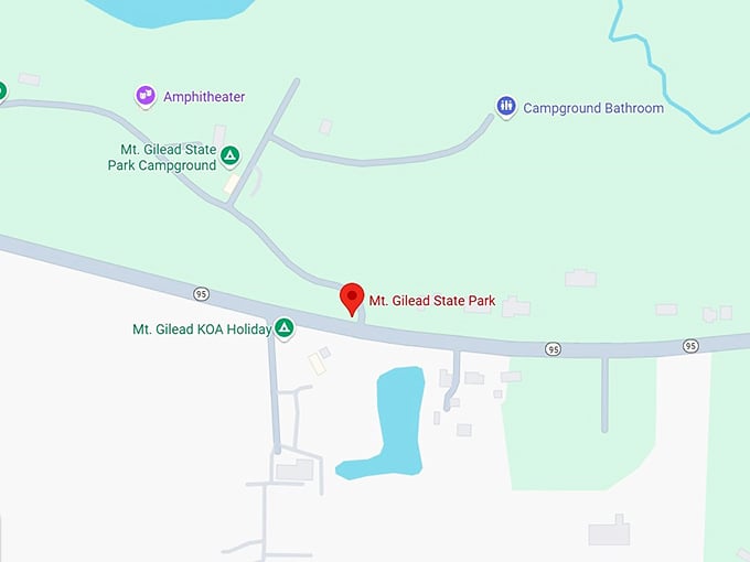 16. mt. gilead state park map