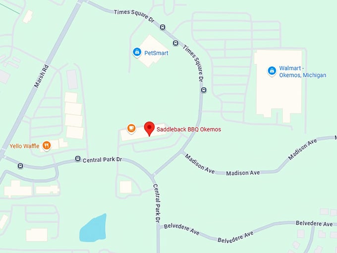 16. saddleback bbq okemos map
