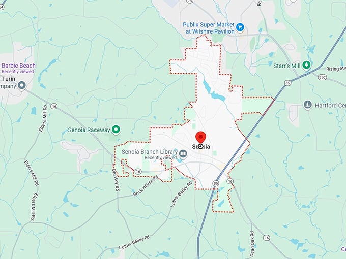 16. senoia, ga map
