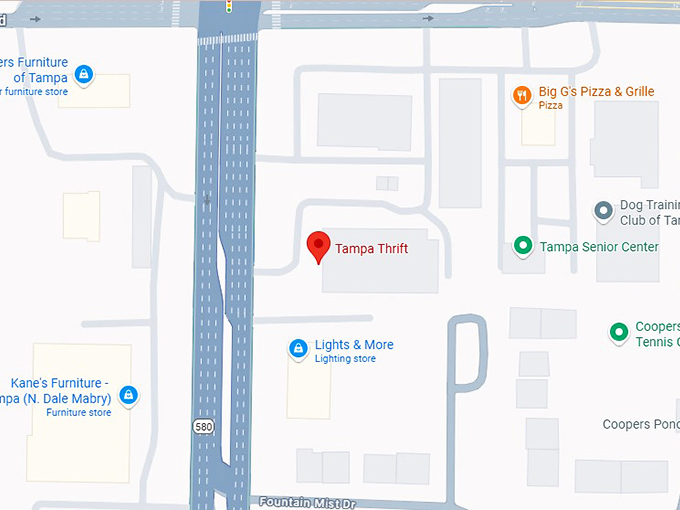 16. tampa thrift map