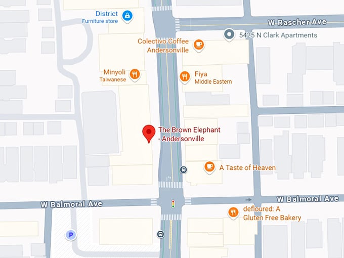 16. the brown elephant andersonville map