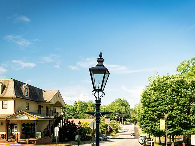 Vintage lampposts stand guard over Dahlonega's charming main street – like time travelers keeping watch over this golden Georgia gem.