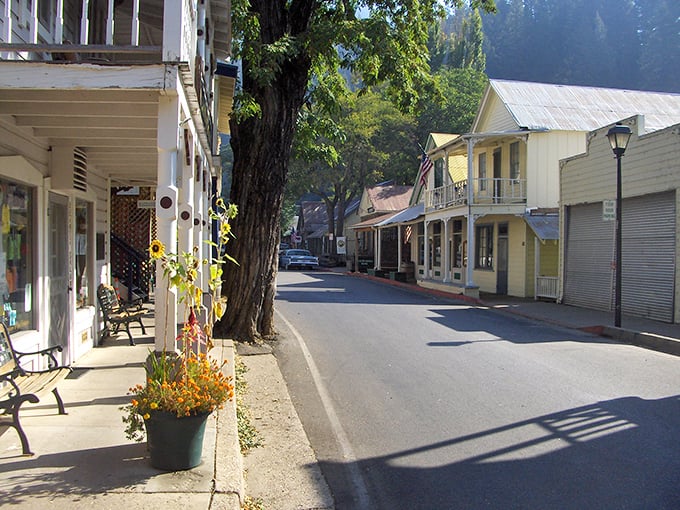 Downieville's main street looks like a movie set where gold miners might stroll by any minute.