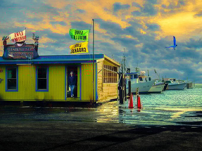 Sunshine meets seafood at this cheerful yellow shack where fishing boats deliver the day's catch right to your plate.