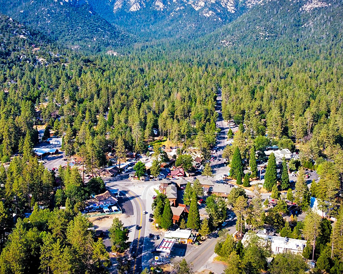Pines as far as the eye can see! Idyllwild's aerial view reveals nature's embrace—like finding Brigadoon with better cell service.