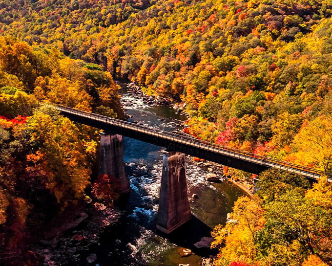 Fall's grand performance at Laurel Highlands! Nature's paintbrush turns these mountains into a masterpiece that would make Bob Ross weep with joy.