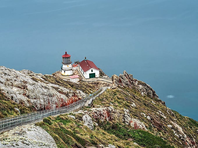 Perched dramatically on the edge of the continent, this lighthouse has guided sailors safely home since the days of wooden ships.