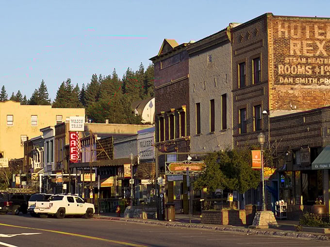 Historic Truckee's main street looks like a movie set where the Gold Rush never ended. Those brick buildings have stories to tell!