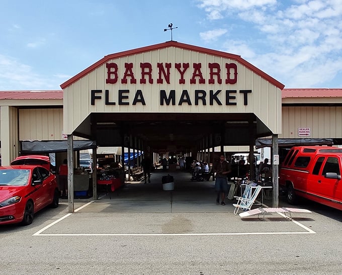 Cars line up outside this bargain hunter's paradise. Like a retail archeological dig, every visit unearths new discoveries!