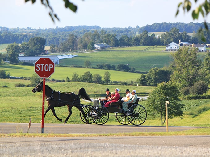 Rolling hills and horse-drawn buggies - Ohio's Amish Country offers a living postcard where yesterday and today travel the same road.