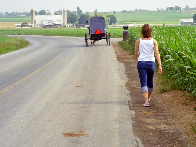 Country roads and cornfields – where an Amish buggy reminds us that the original horsepower wasn't measured in engines.