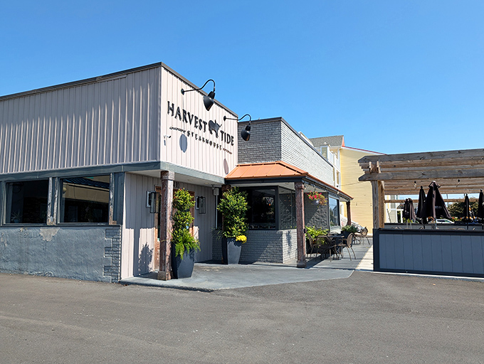 That welcoming glow says "come hungry, leave happy" - classic steakhouse hospitality at its finest.